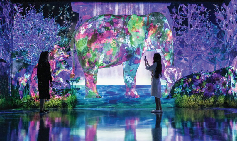 Promo | Team Lab Forest